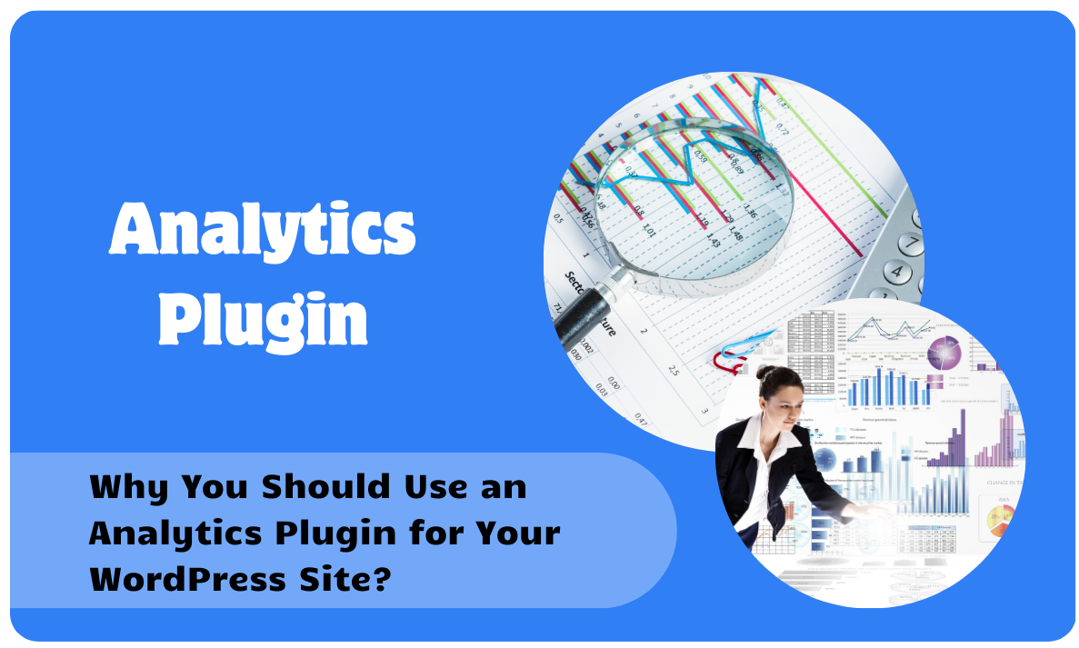 WPSora - Why You Should Use an Analytics Plugin for Your WordPress Site?
